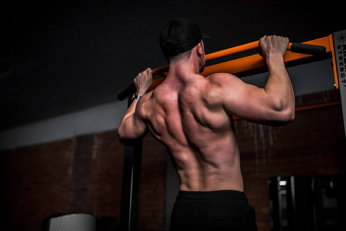 The Best Ways to Build Muscle Mass Safely | Optimum EFX